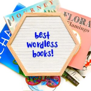 The Best Wordless Picture Books to Build Literacy & Comprehension ...